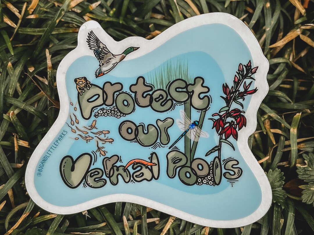 Vernal Pool Sticker protect Our Vernal Pool Transparent Sticker Pond ...