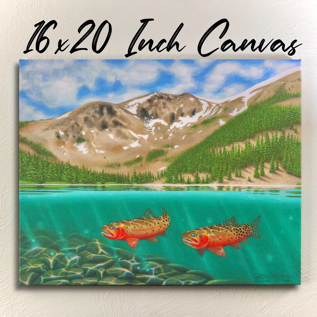 Cutthroat Trout Painting - 16x20 Canvas Reproduction Gicleé Print ...