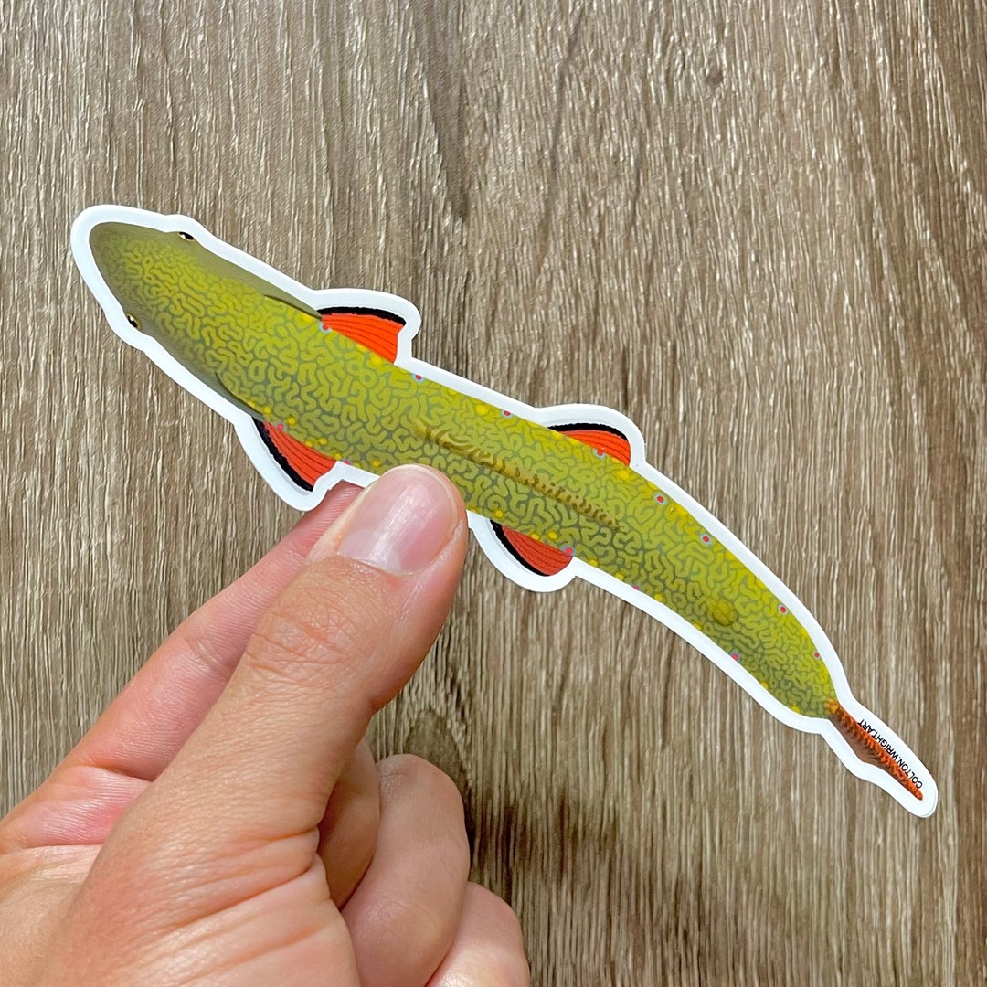 Brook Trout Sticker Decal (6 Inch) - Etsy