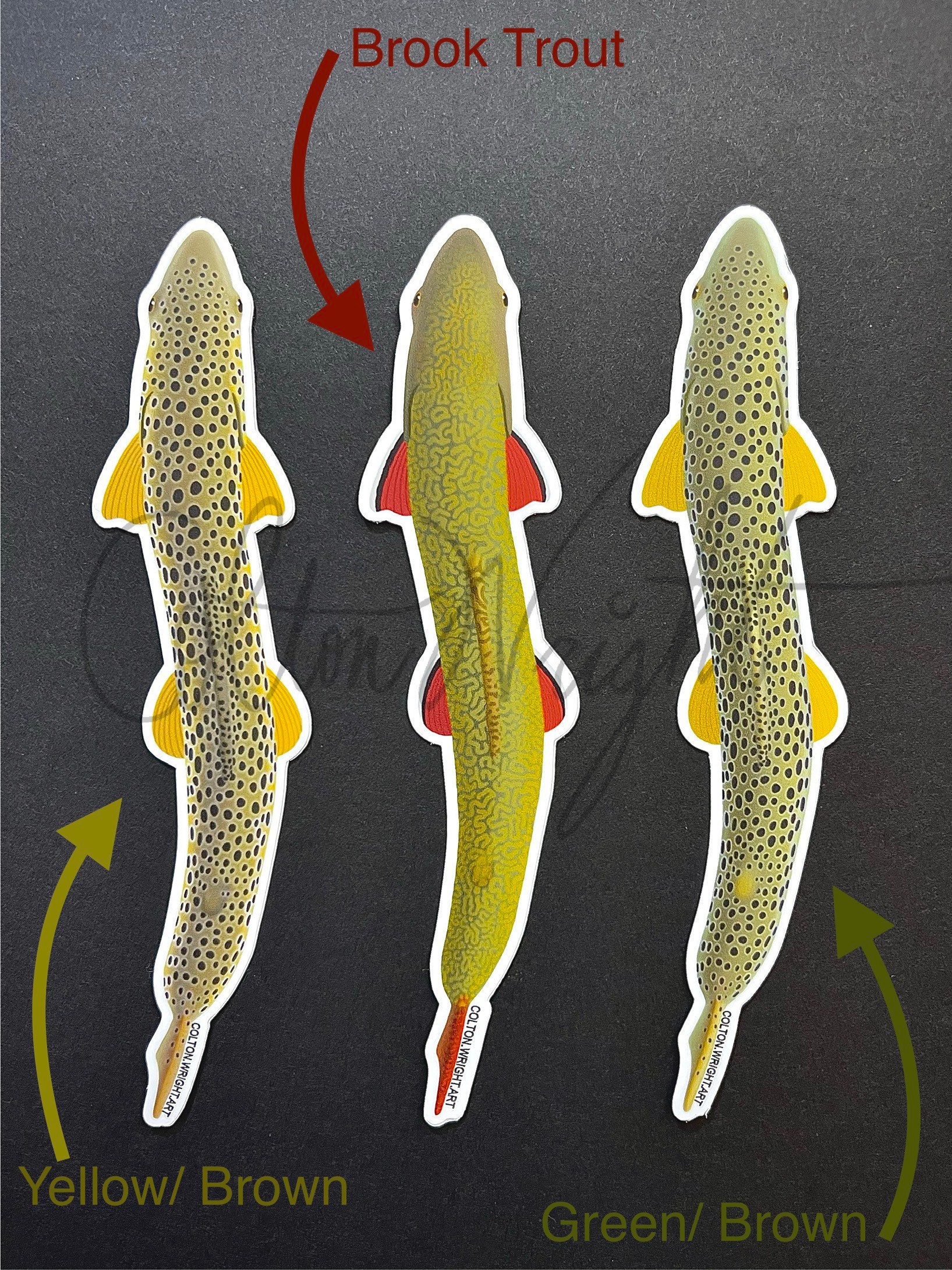 Brown Trout Sticker Decal 6 Inch - Etsy