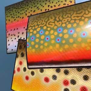 Brown Trout Pattern Flank - Sticker Decal - Etsy