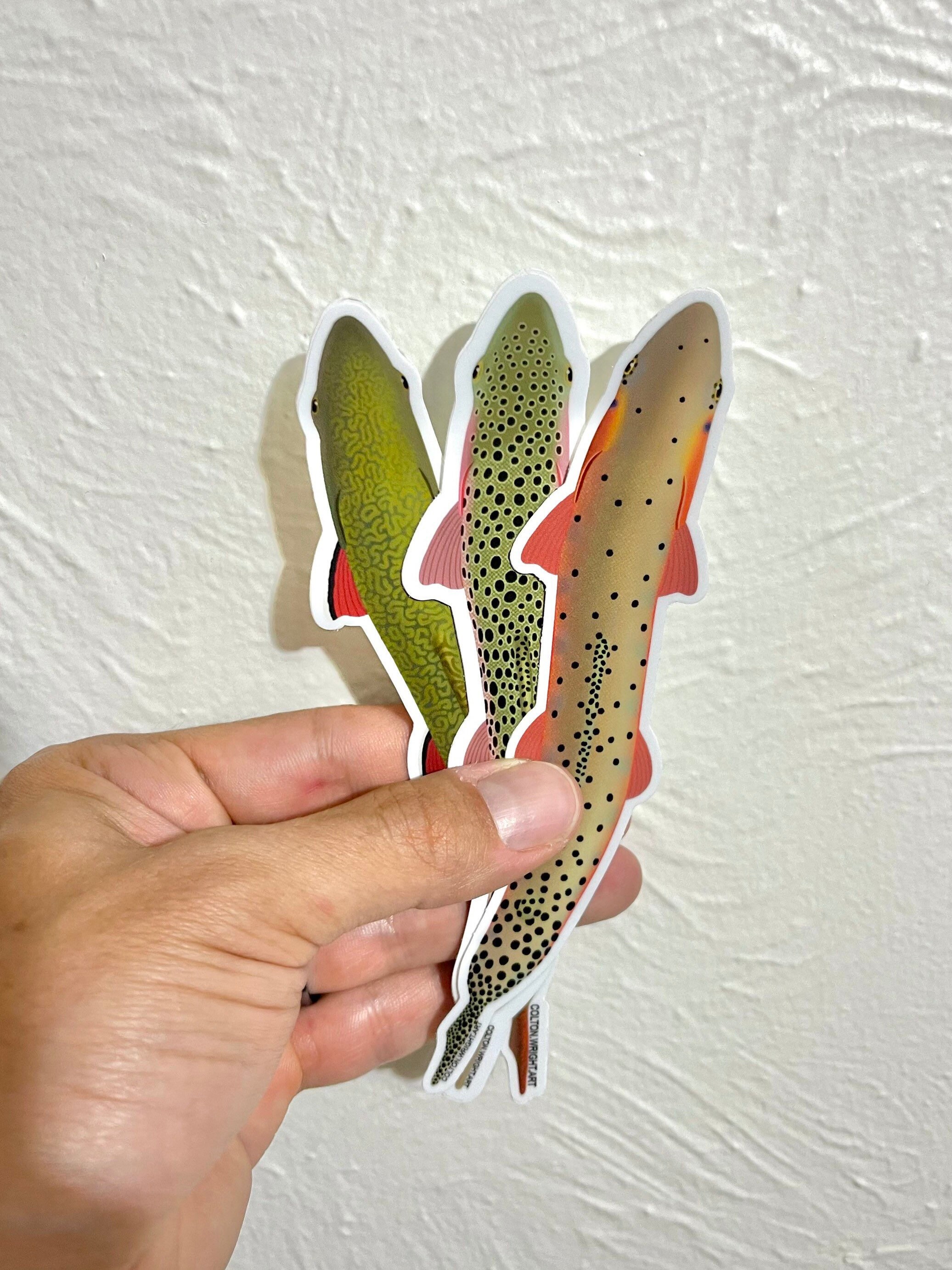 Brown Trout Sticker Decal 6 Inch - Etsy