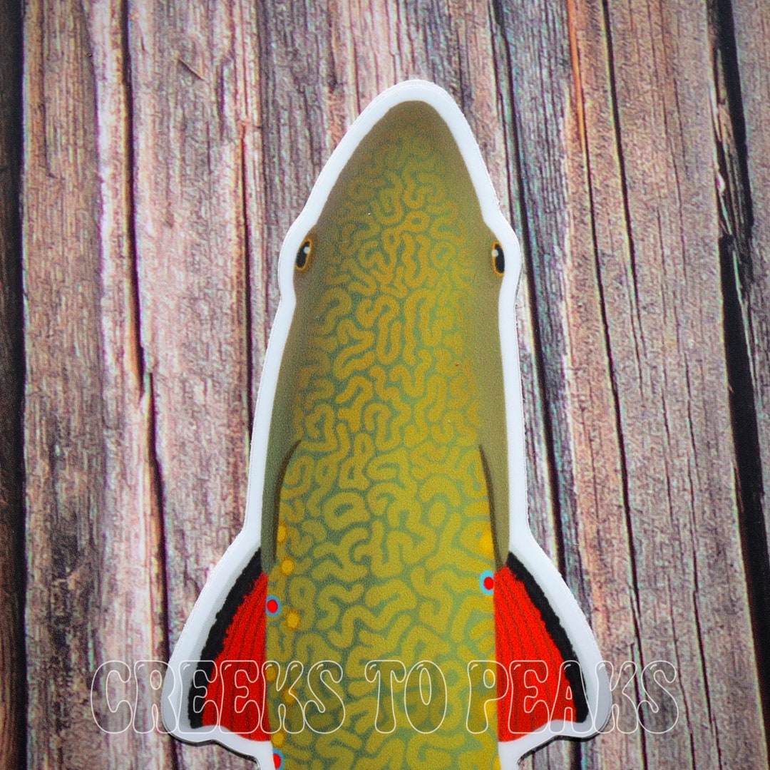 Brook Trout Sticker Decal (9 Inch) - Etsy