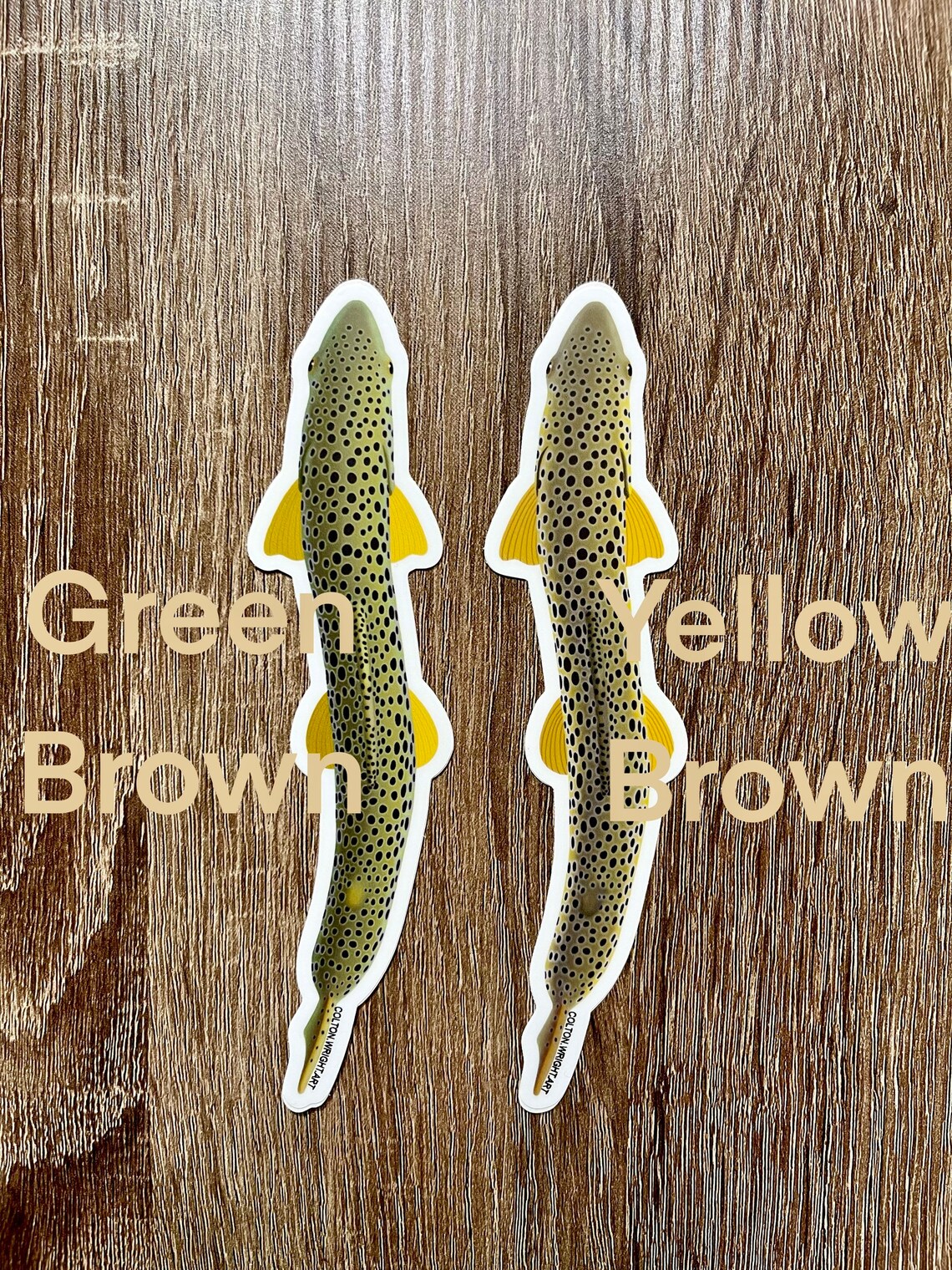 Brown Trout Sticker Decal 6 Inch - Etsy