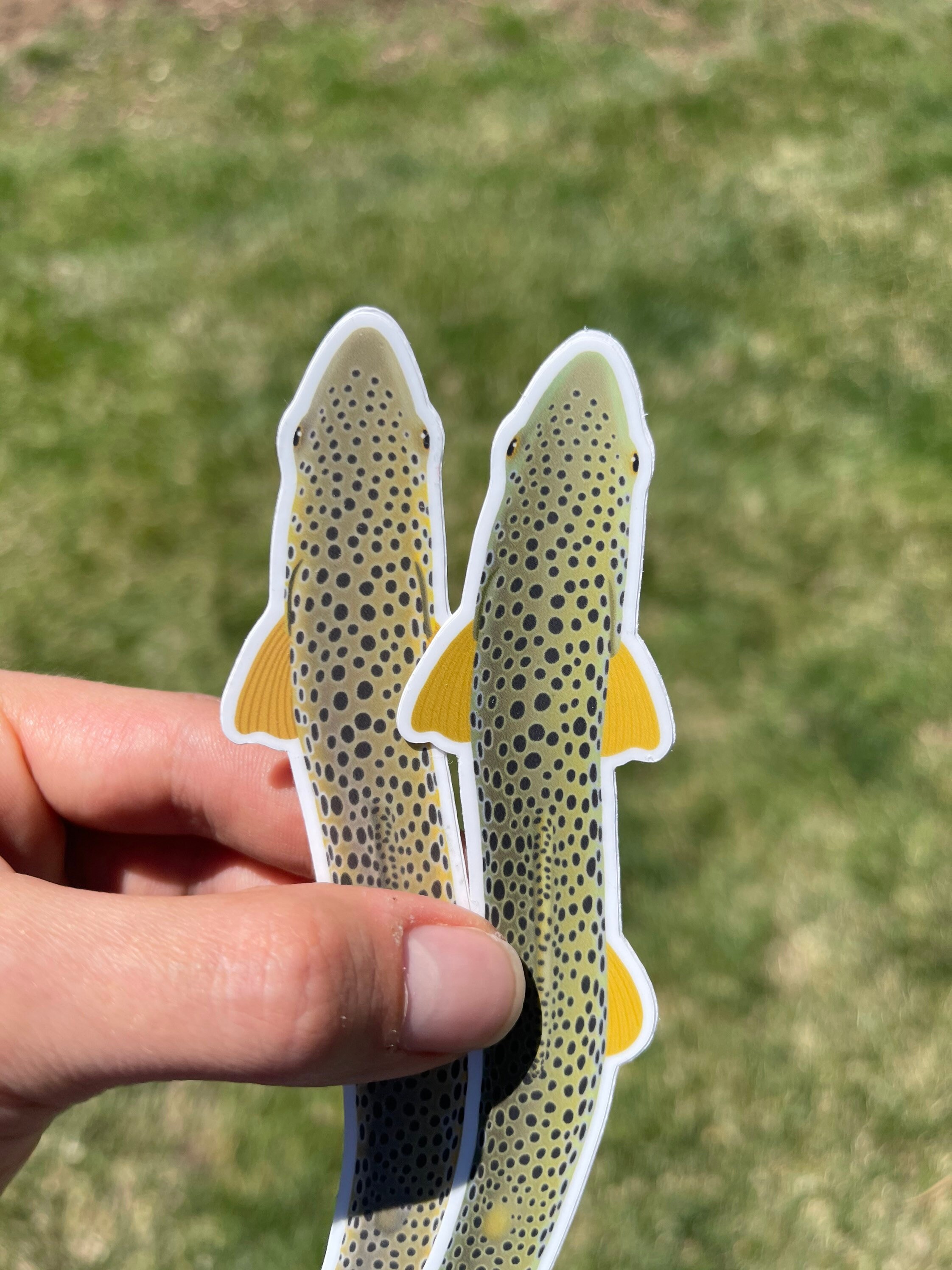 Brown Trout Sticker Decal 6 Inch - Etsy