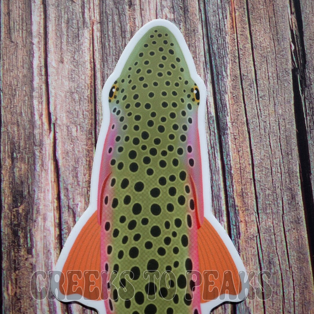 Rainbow Trout Sticker Decal 9 Inch - Etsy