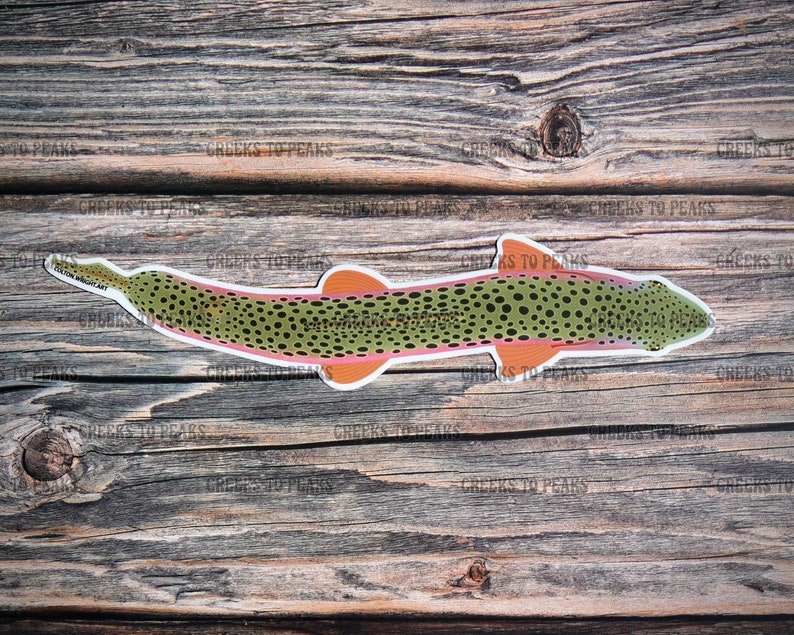 Rainbow Trout Sticker Decal 9 Inch - Etsy
