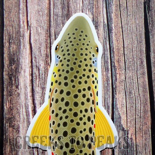 Brown Trout Decal - Etsy