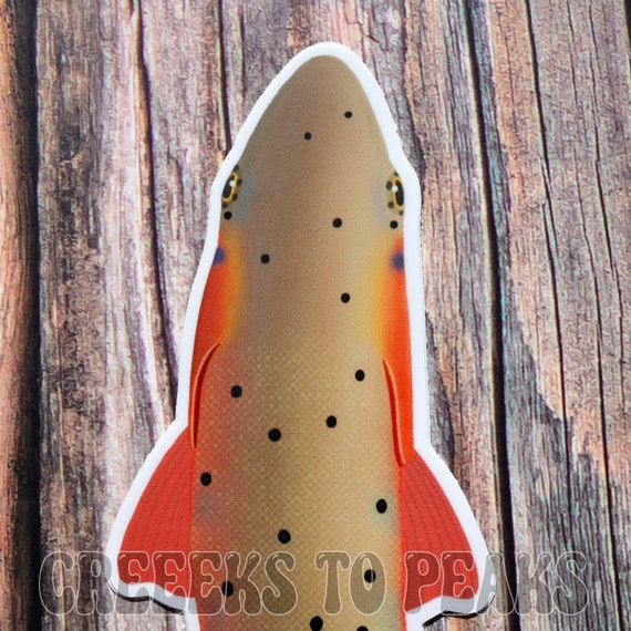 Cutthroat Trout Sticker Decal 9 Inch - Etsy