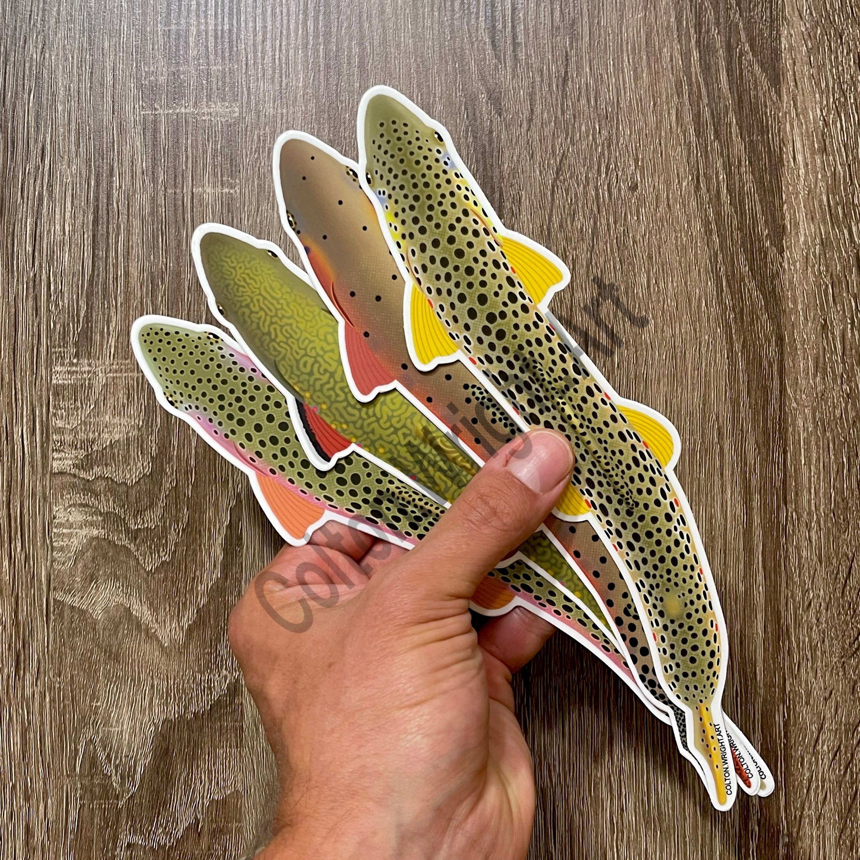 Cutthroat Trout Sticker Decal 9 Inch - Etsy