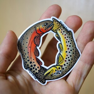Brown Trout - Cutthroat Trout - Sticker Decal - Etsy