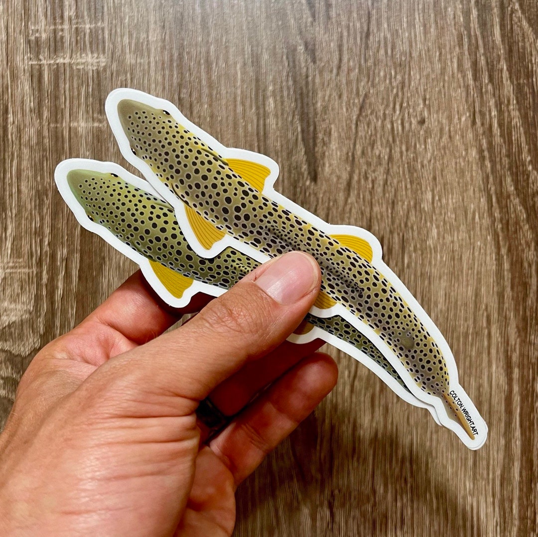 Brown Trout Sticker Decal 6 Inch - Etsy