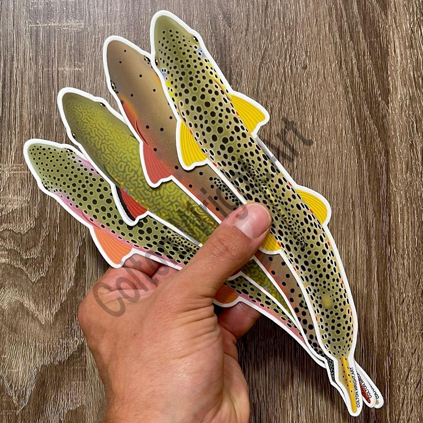 Rainbow Trout Sticker Decal 9 Inch - Etsy