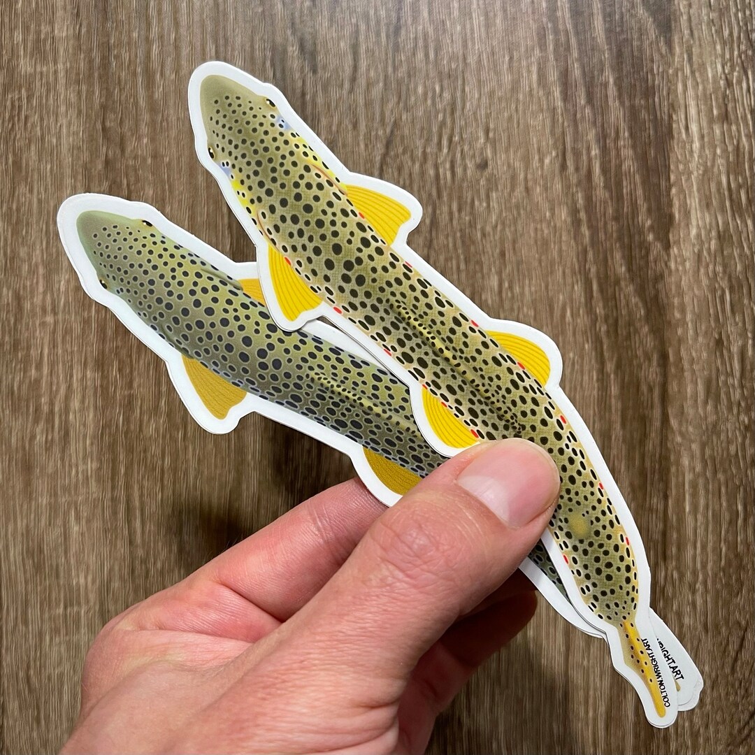 Brown Trout Sticker Decal (6 Inch) - Etsy