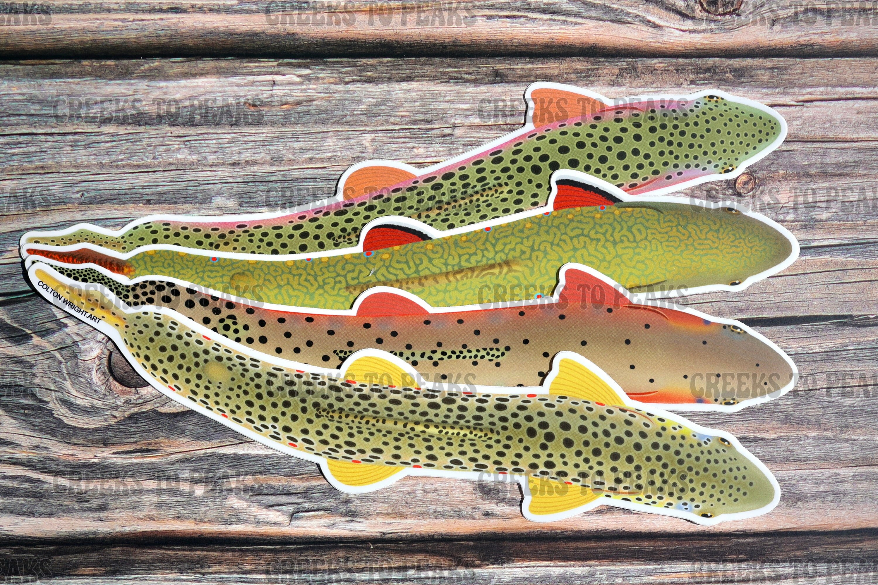 Rainbow Trout Sticker Decal 9 Inch - Etsy