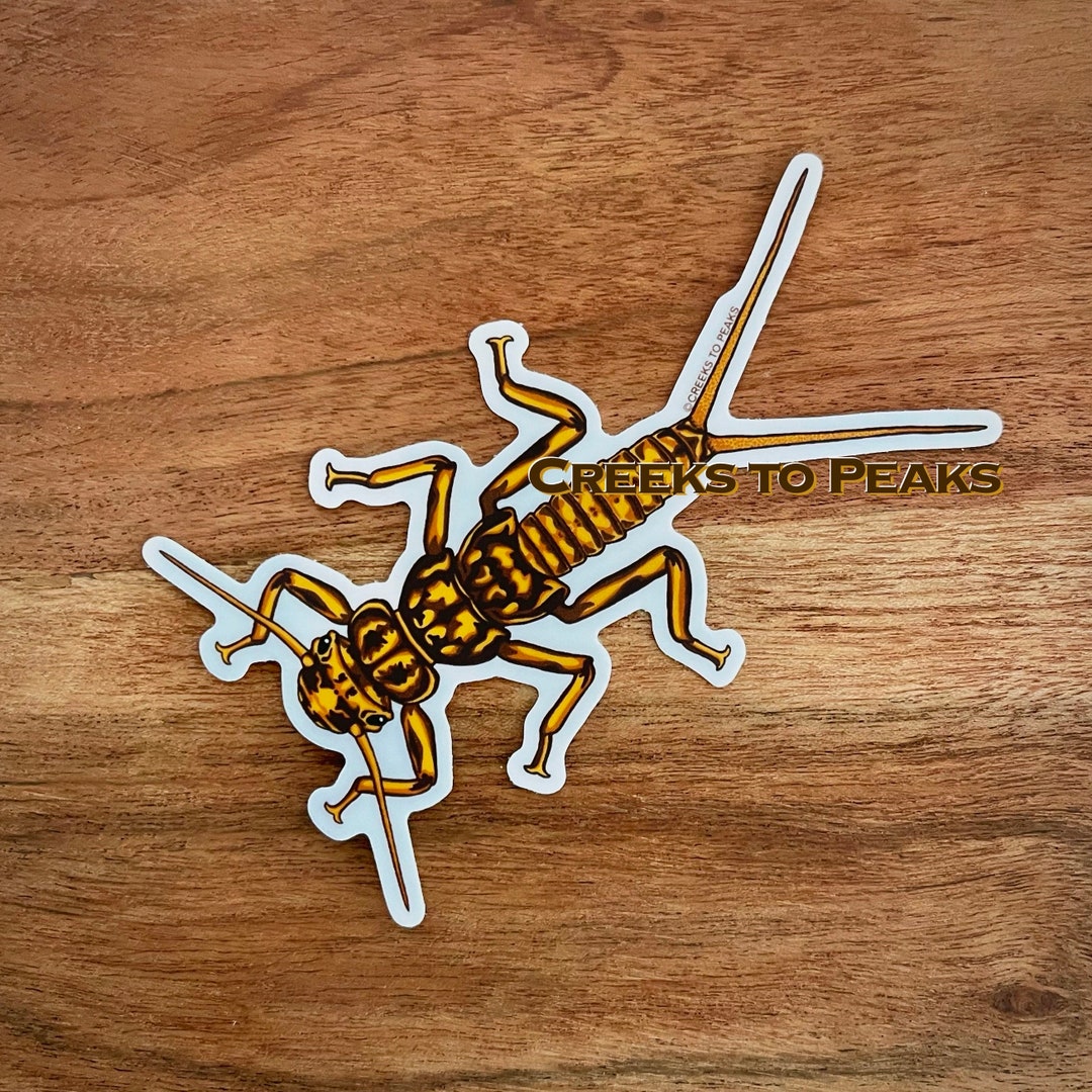 Stonefly Nymph - Flyfishing Decal - Golden Stonefly - Waterproof ...