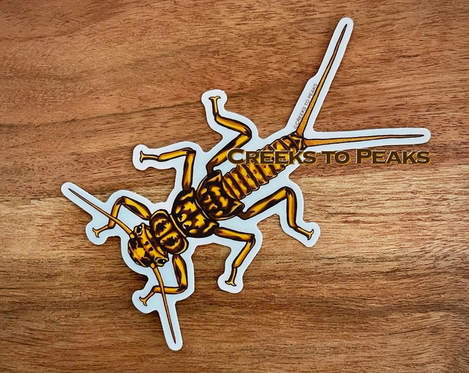 Fly Decal | Fly Vinyl Decal | Fly Sticker | Bug Decal | Bug Sticker ...