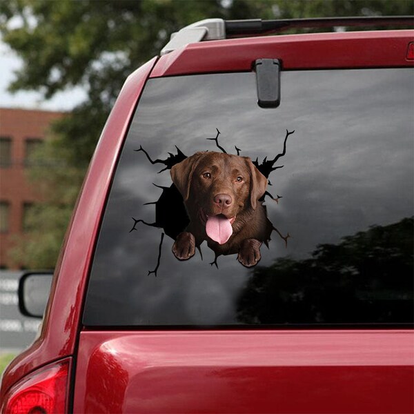 Rear Side Window Decal Sticker - Etsy