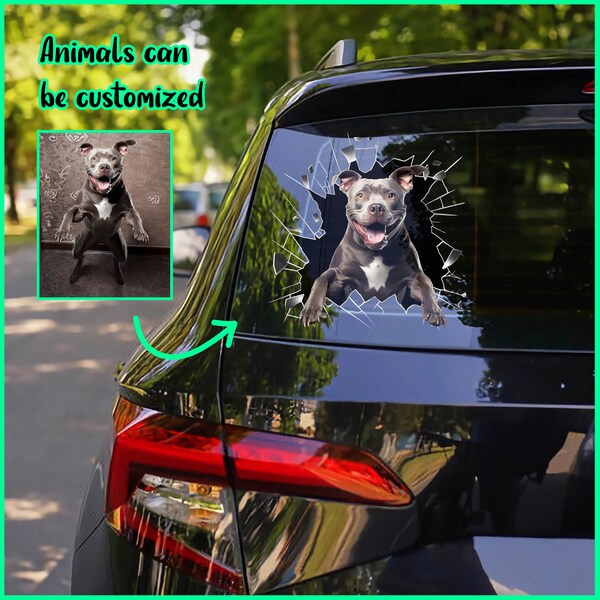 Pitbull Crack Decal - Etsy