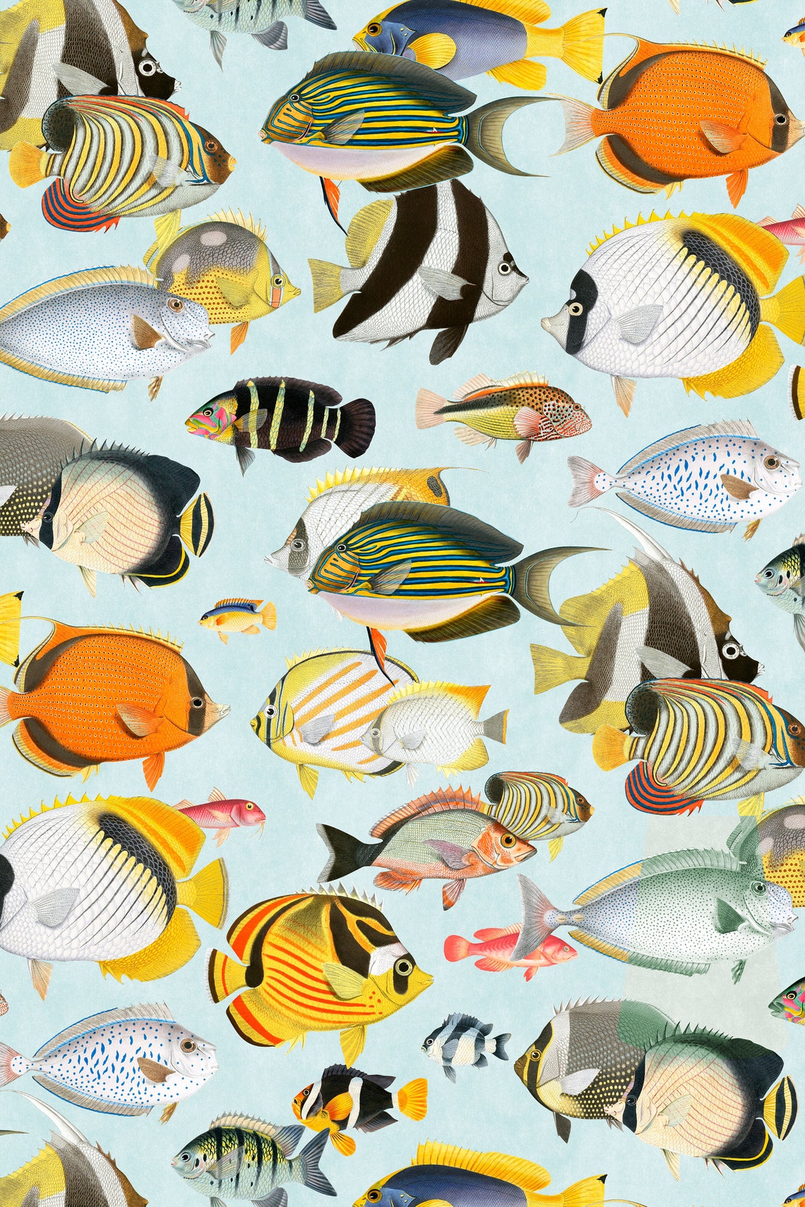 Wallpaper From an Exotic Collection With Fish Motifs Peel & - Etsy