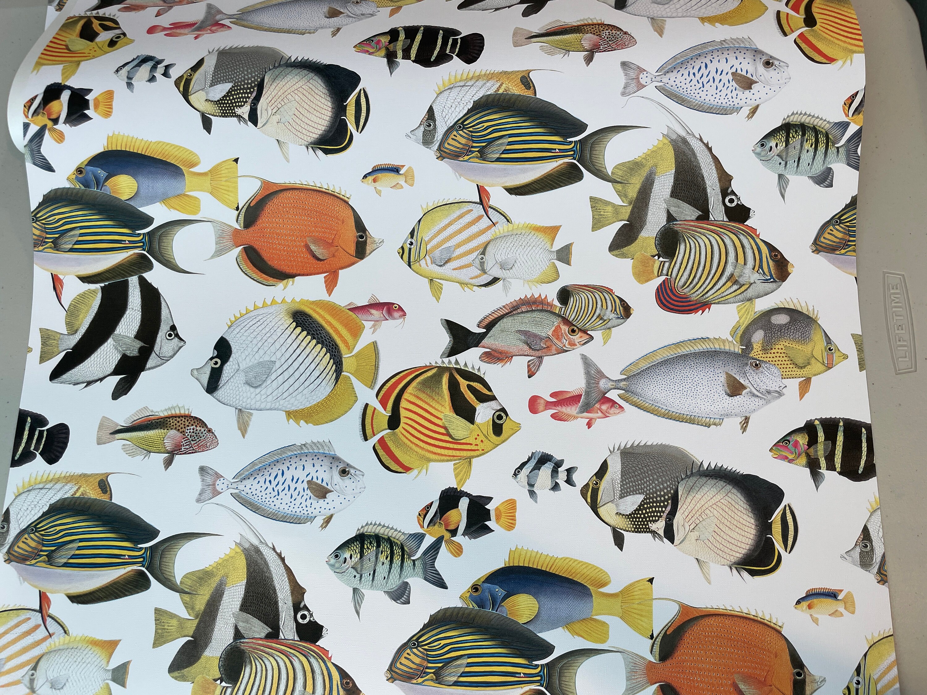 Fish Wallpaper From an Exotic Collection With Fish Motifs - Etsy