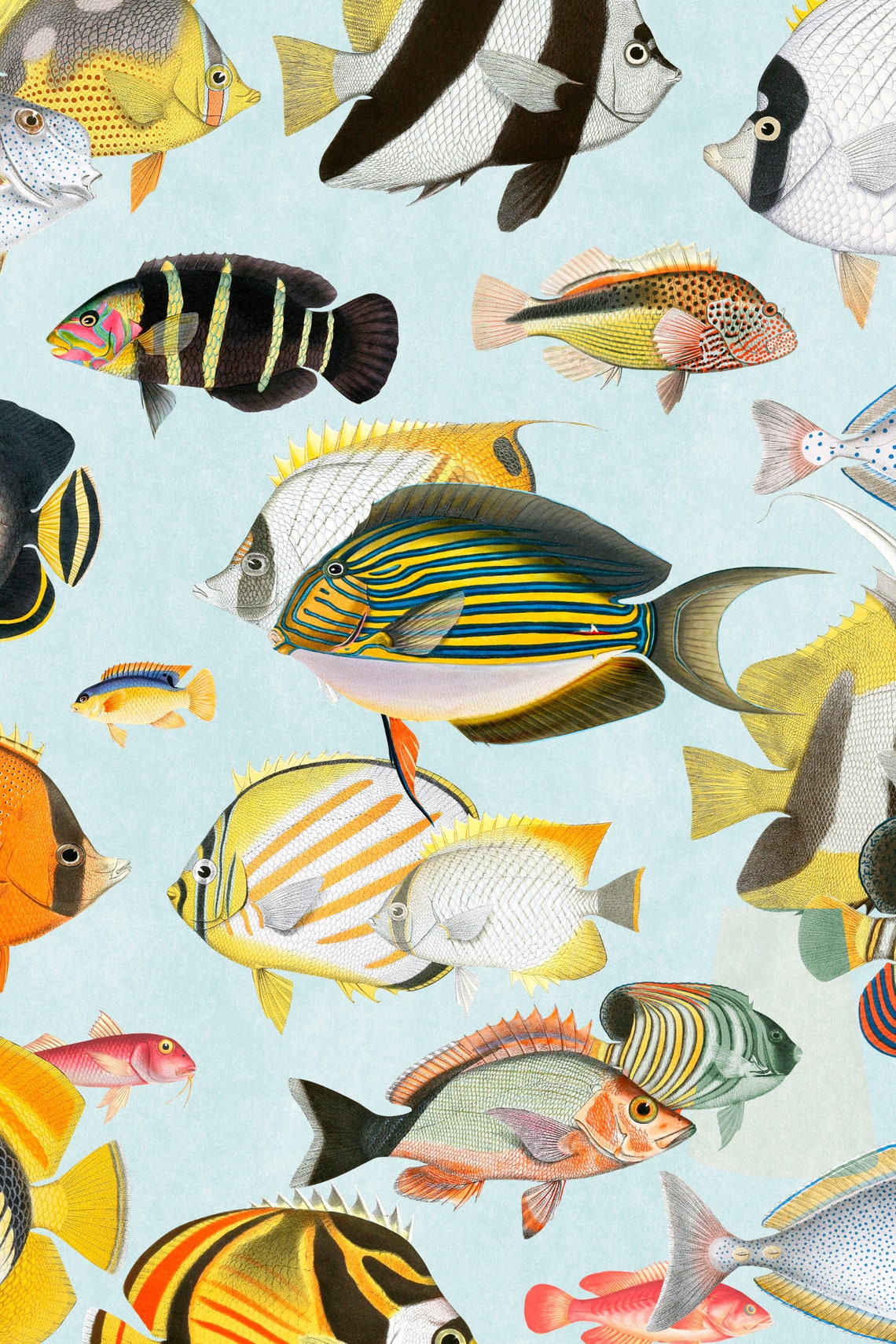 Wallpaper From an Exotic Collection With Fish Motifs Peel & - Etsy