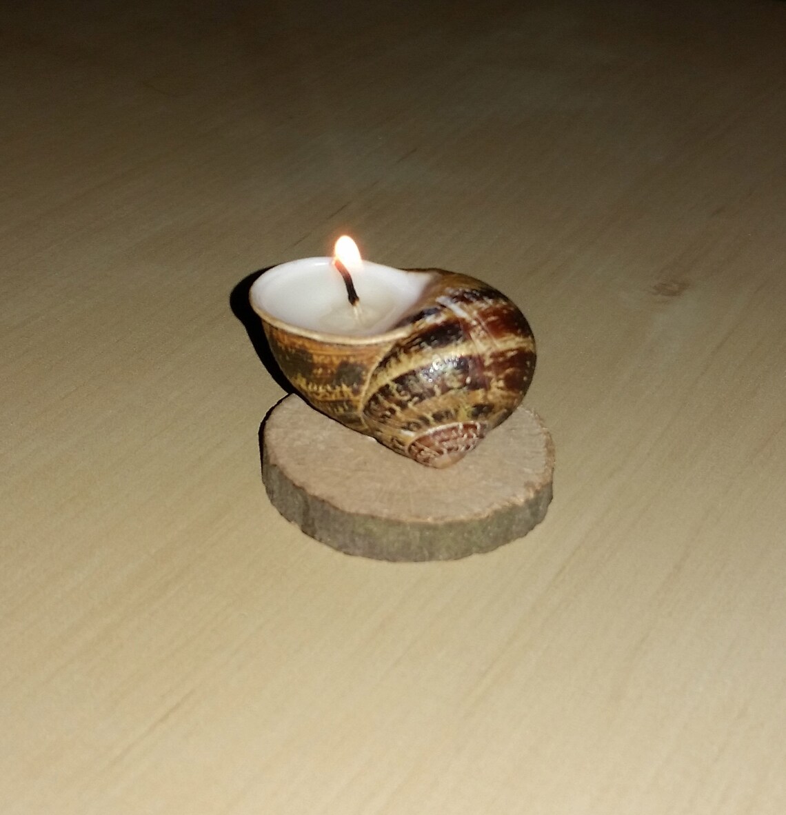 5 Snail Real Shell Scented Candles Decoration Gift Handmade - Etsy