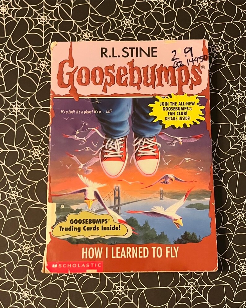 Goosebumps How I Learned to Fly - Etsy
