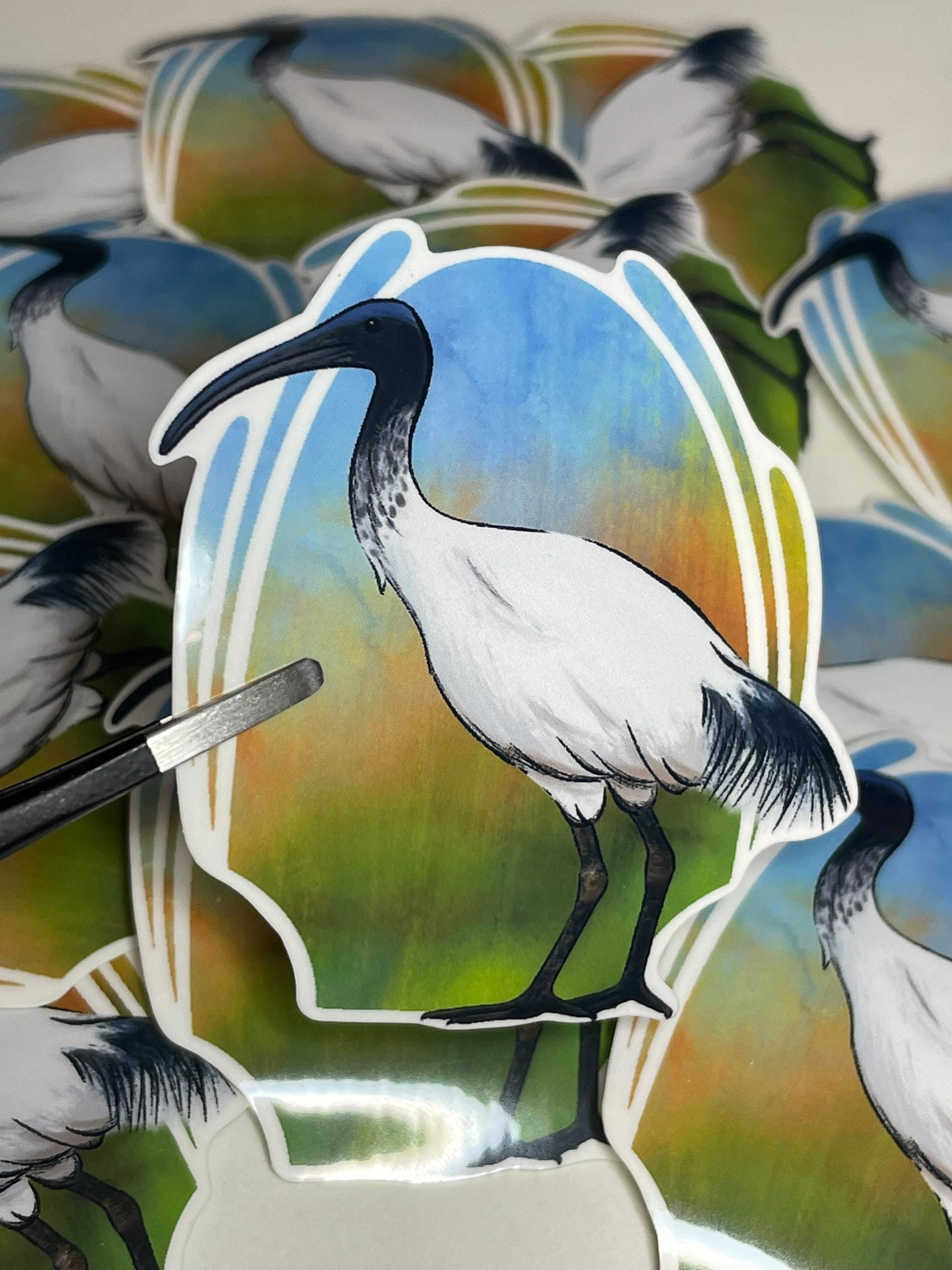 Ibis Bin Chicken Drawing Water Bottle Decal Laptop Sticker Laminated ...