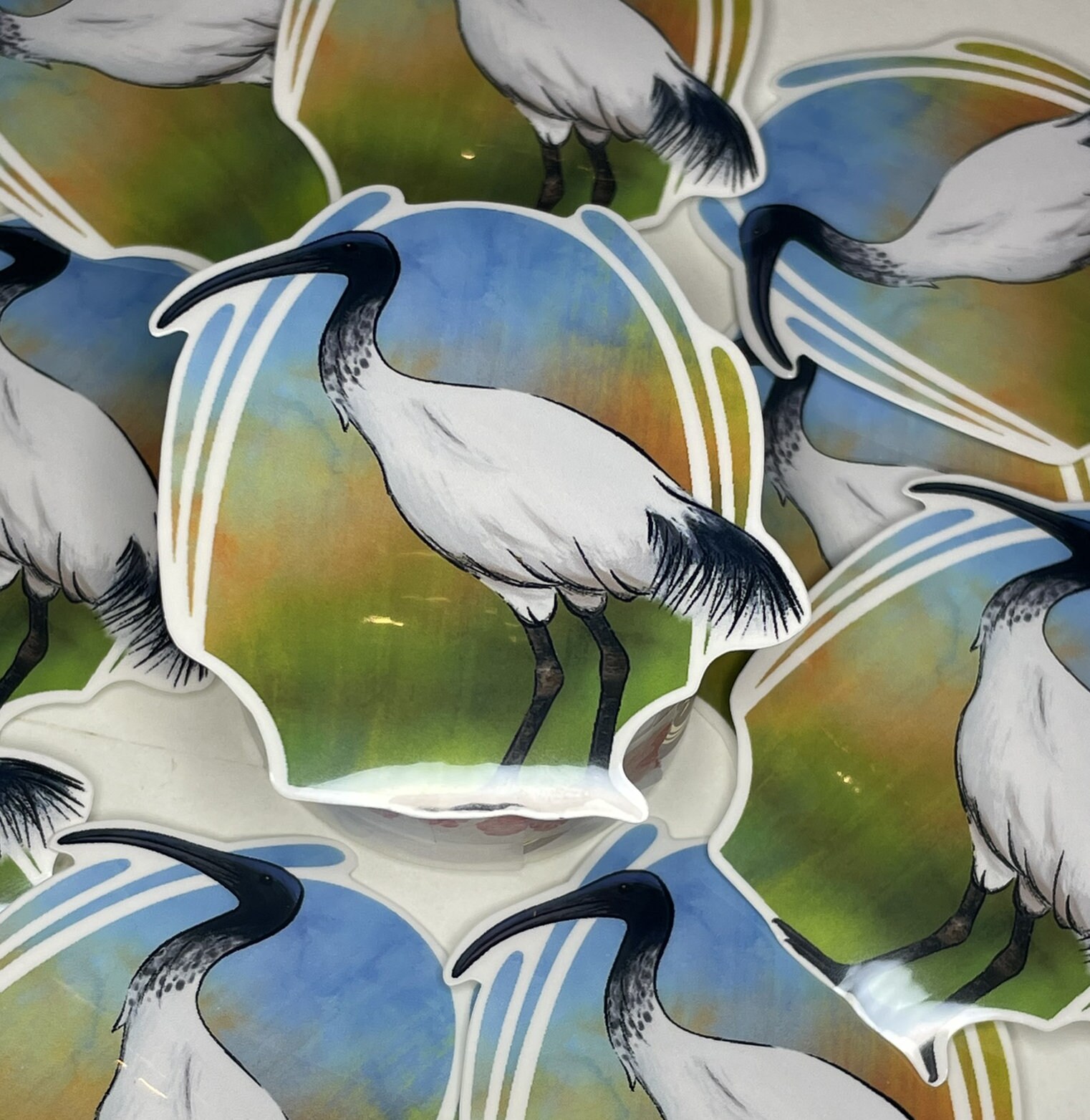 Ibis Bin Chicken Drawing Water Bottle Decal Laptop Sticker - Etsy