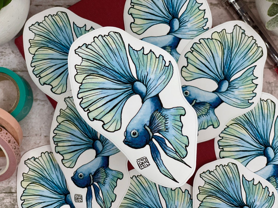 Betta Fish Sticker, Water Bottle Decal, Laptop Sticker, Laminated ...