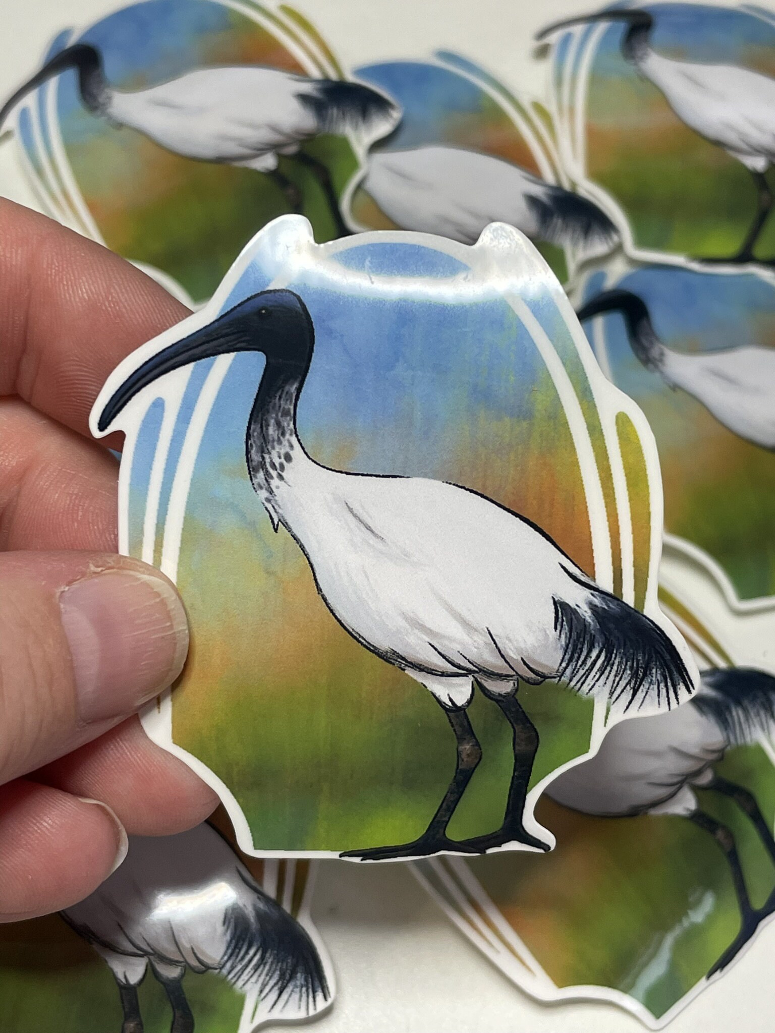 Ibis Bin Chicken Drawing Water Bottle Decal Laptop Sticker Laminated ...