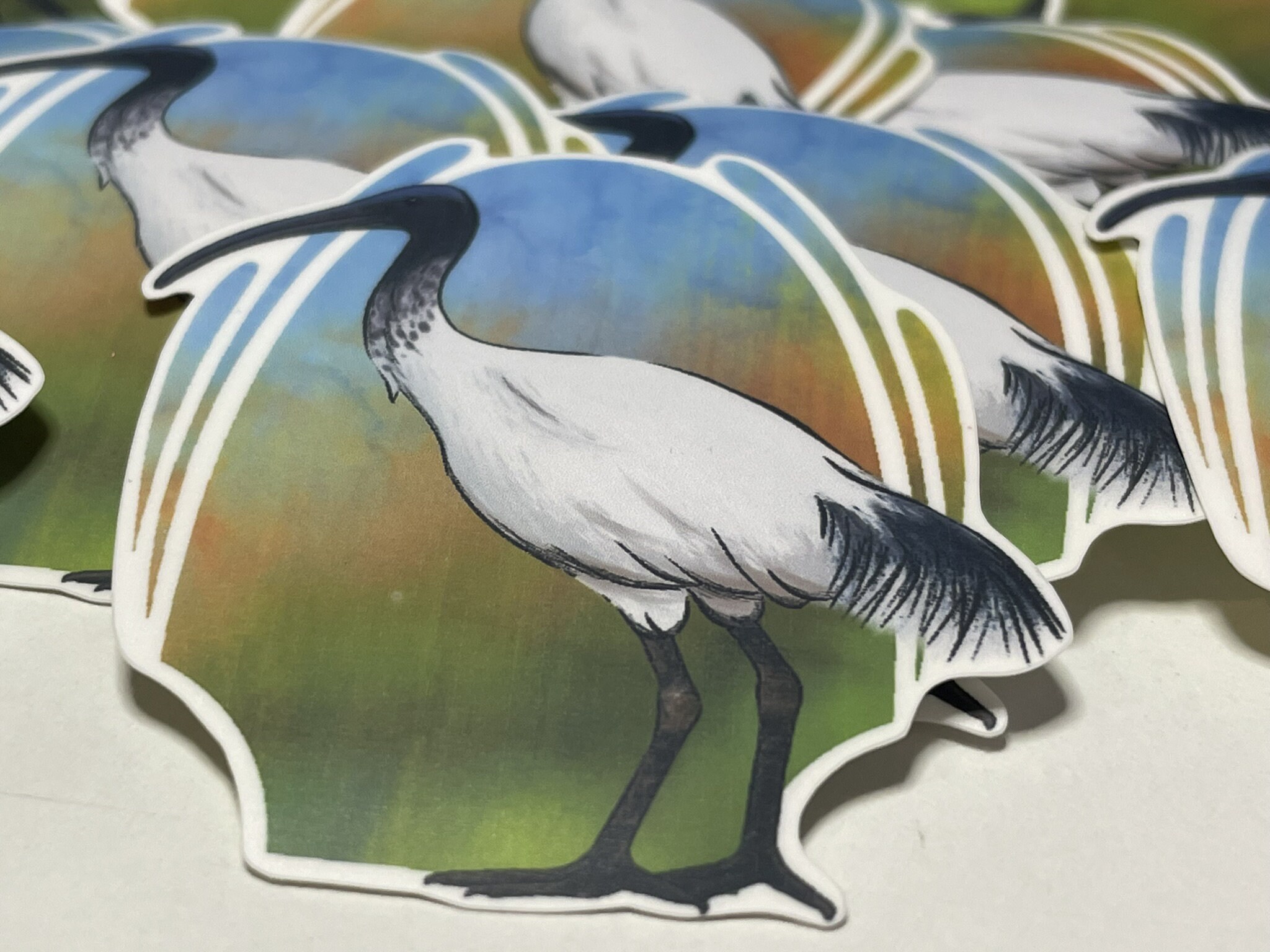 Ibis Bin Chicken Drawing Water Bottle Decal Laptop Sticker - Etsy