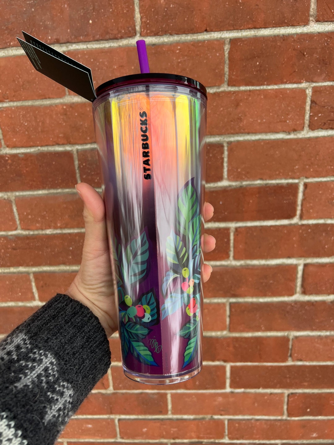 Starbucks ASL Venti Cold Cup Tumbler 24 Oz American Sign Language ...