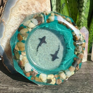 Shark Week Ash Tray / Jewelry Holder - Etsy