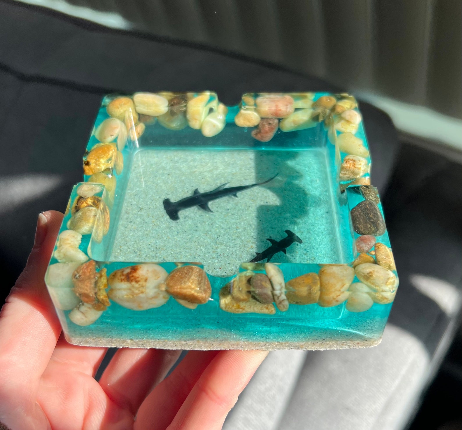 Shark Week Ash Tray / Jewelry Holder - Etsy