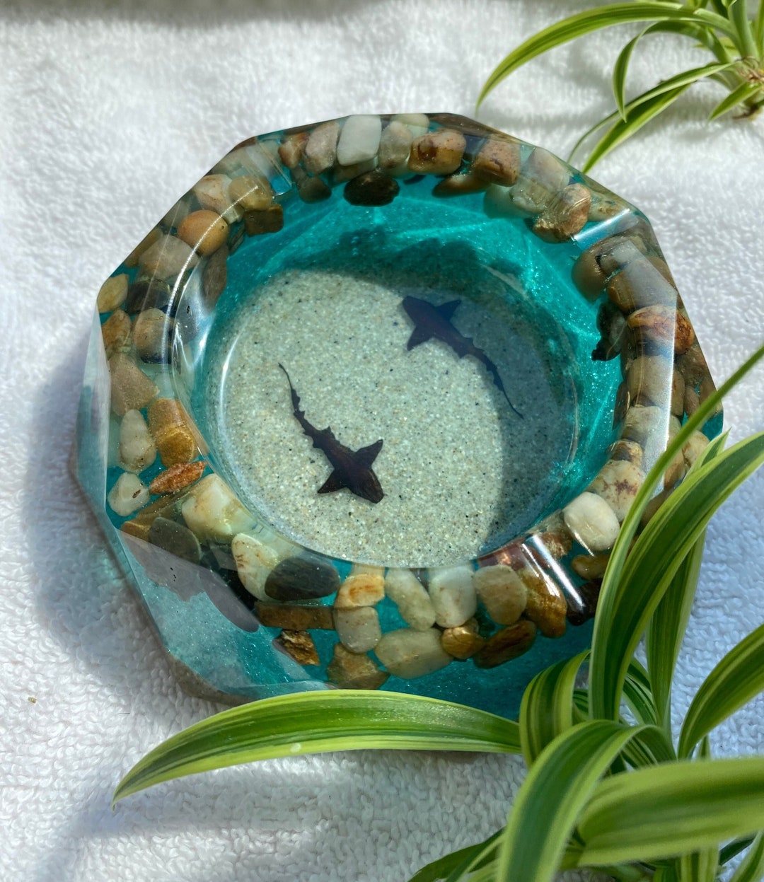 Shark Week Ash Tray / Jewelry Holder - Etsy