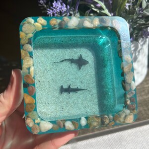 Shark Week Ash Tray / Jewelry Holder - Etsy