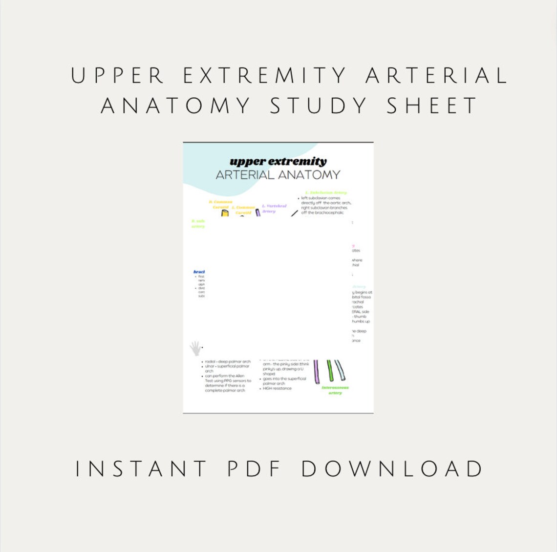Upper Extremity Arterial Anatomy Study Sheet Vascular Sonography ...