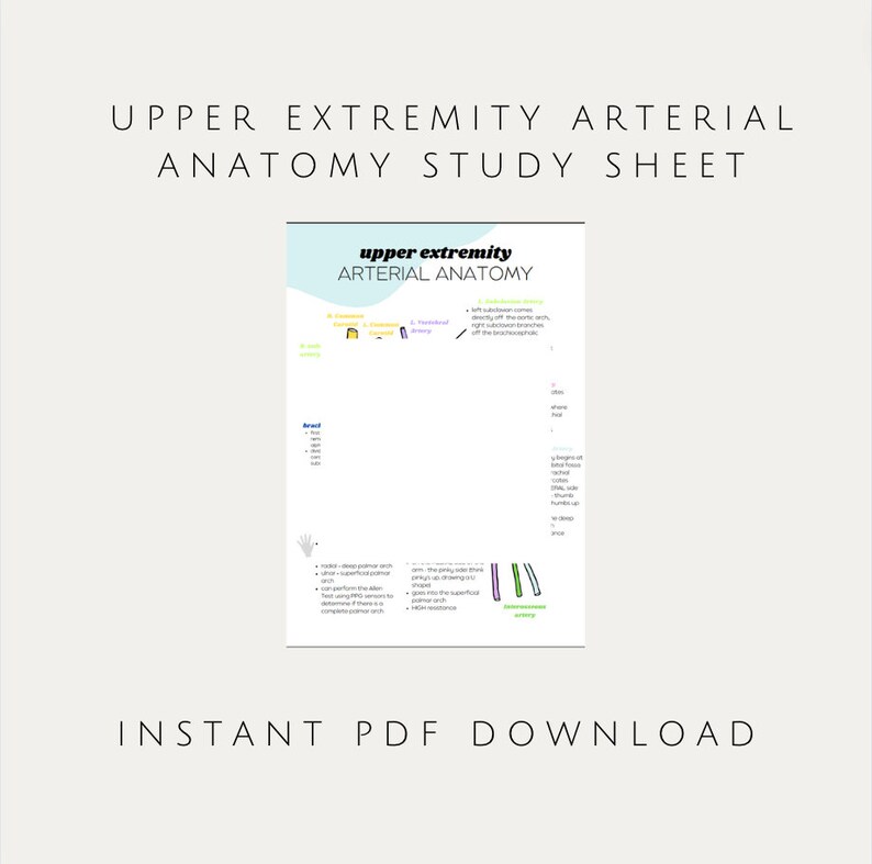 Upper Extremity Arterial Anatomy Study Sheet | Vascular Sonography ...