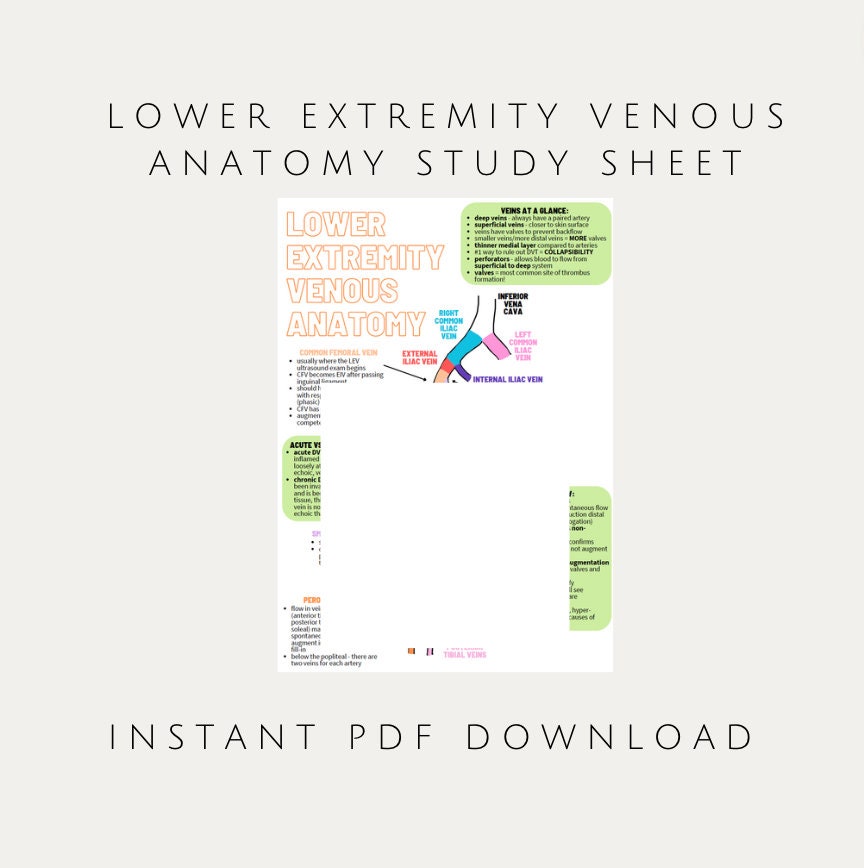 Lower Extremity Venous Anatomy Study Sheet | Vascular Sonography ...