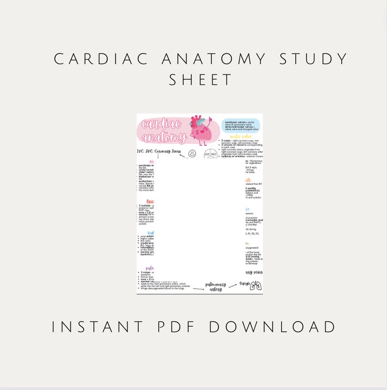 Cardiac Anatomy Study Sheet Nursing Cardiology - Etsy