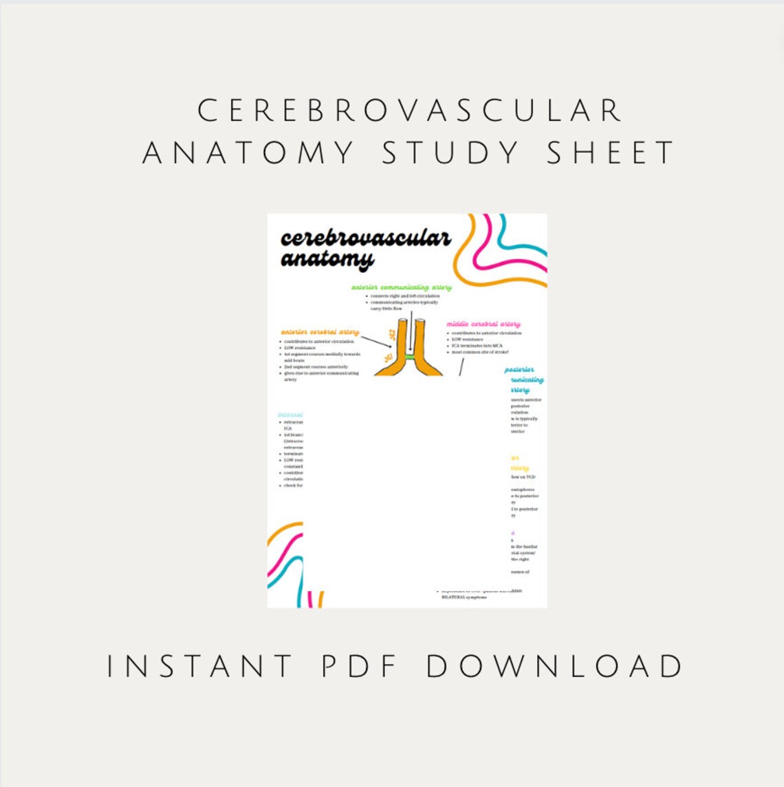 Cerebrovascular Anatomy Study Sheet | Vascular Sonography ...