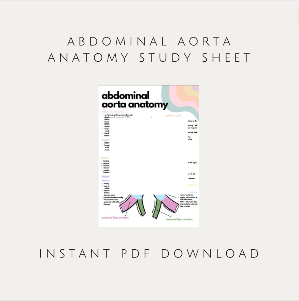 Abdominal Aorta Anatomy Study Sheet Echocardiography - Etsy