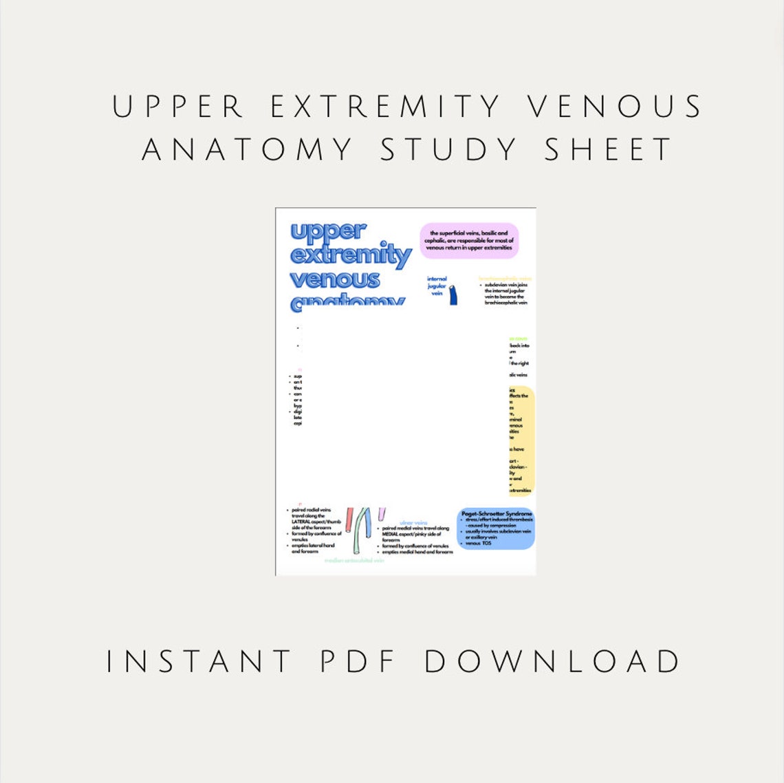 Upper Extremity Venous Anatomy Study Sheet Vascular Sonography ...