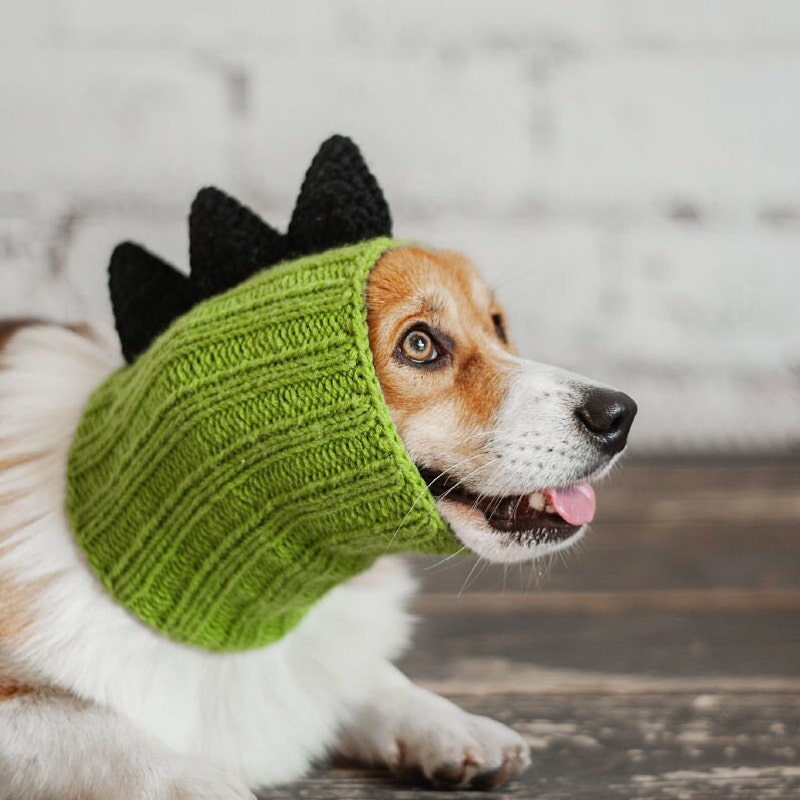 Pet Snood - Etsy
