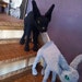 Knitted Interior Sphinx Cat Plush. Amigurumi Cat Sphinx Crochet Cat ...