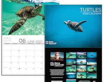 13 Month Calendar - Etsy