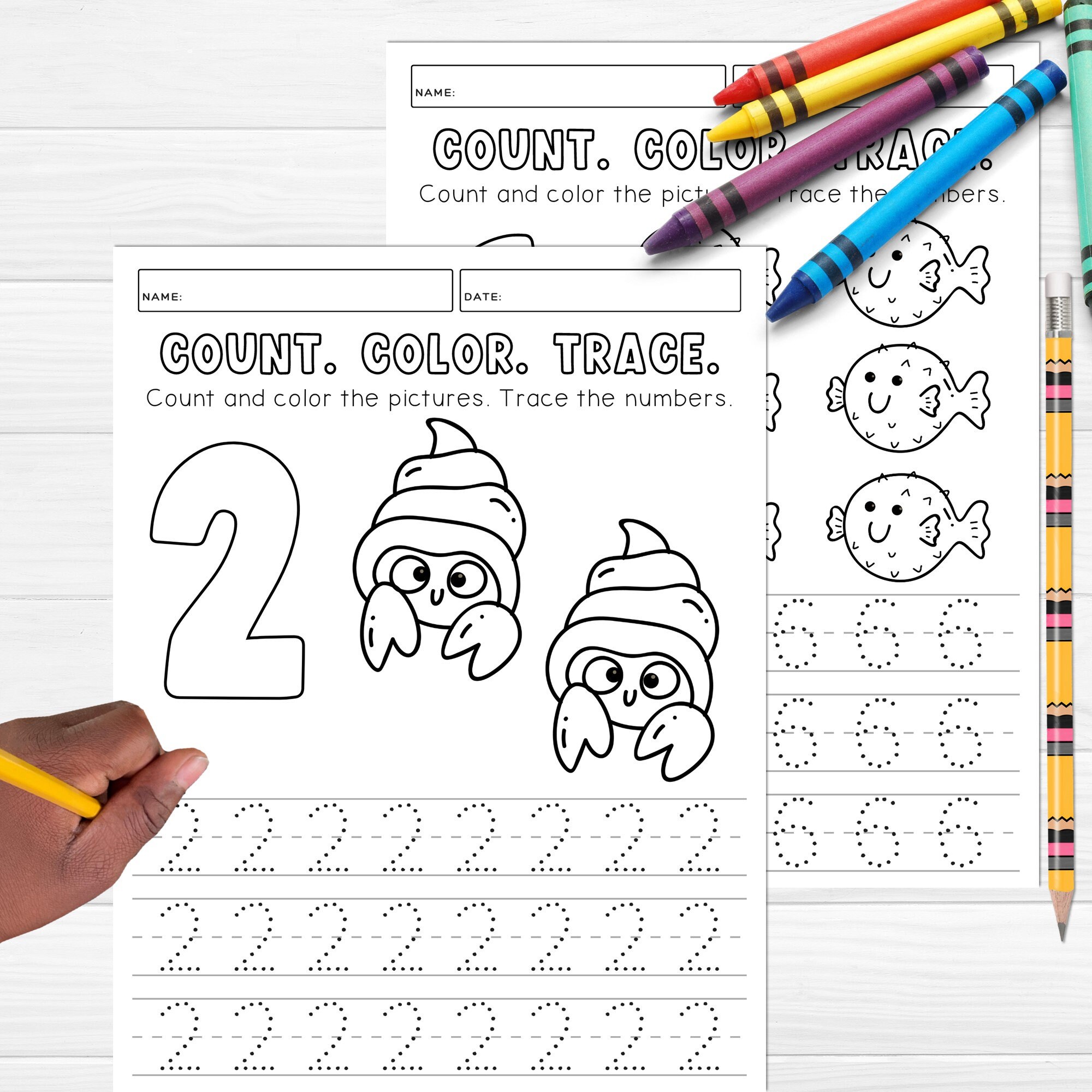 Math Activity Book, Ocean Coloring Book, Counting Worksheets, Number ...