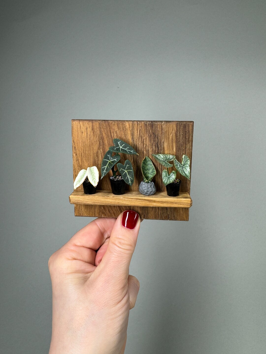 Miniature Plant Set 5 Made From Polymer Clay on Shelf - Etsy